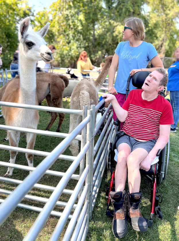 Autumn and alpacas | News, Sports, Jobs - Weirton Daily Times